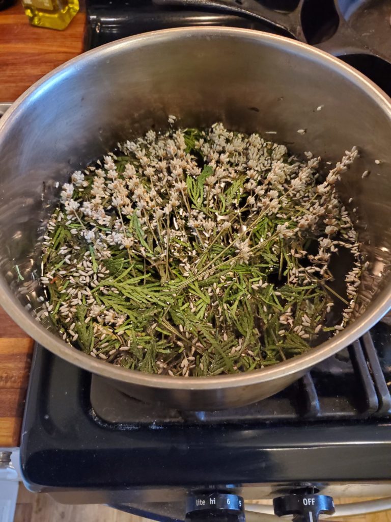 Herbal Respiratory Steams - Wildflower School of Botanical Medicine
